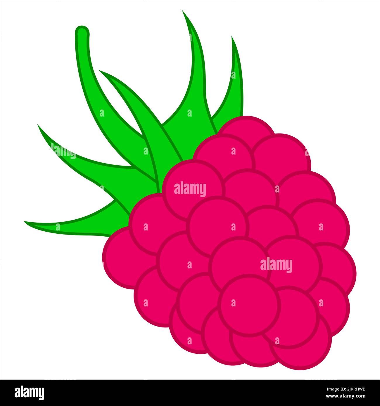 Raspberry fruit icon. Flat graphic design. Symbol on white background ...