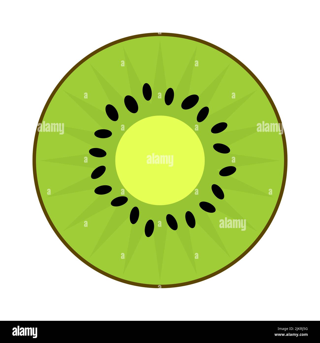Kiwi fruit icon. Flat graphic design. Symbol on white background ...