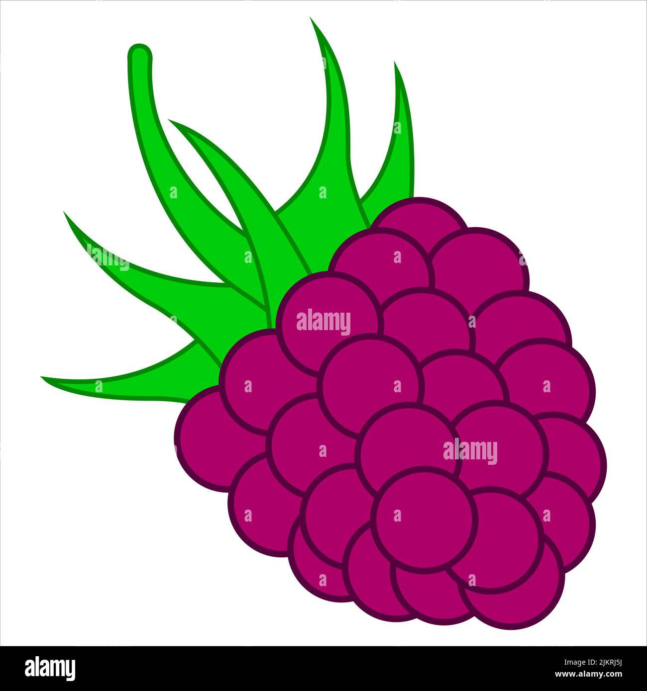 Wild raspberry fruit icon. Flat graphic design. Symbol on white ...