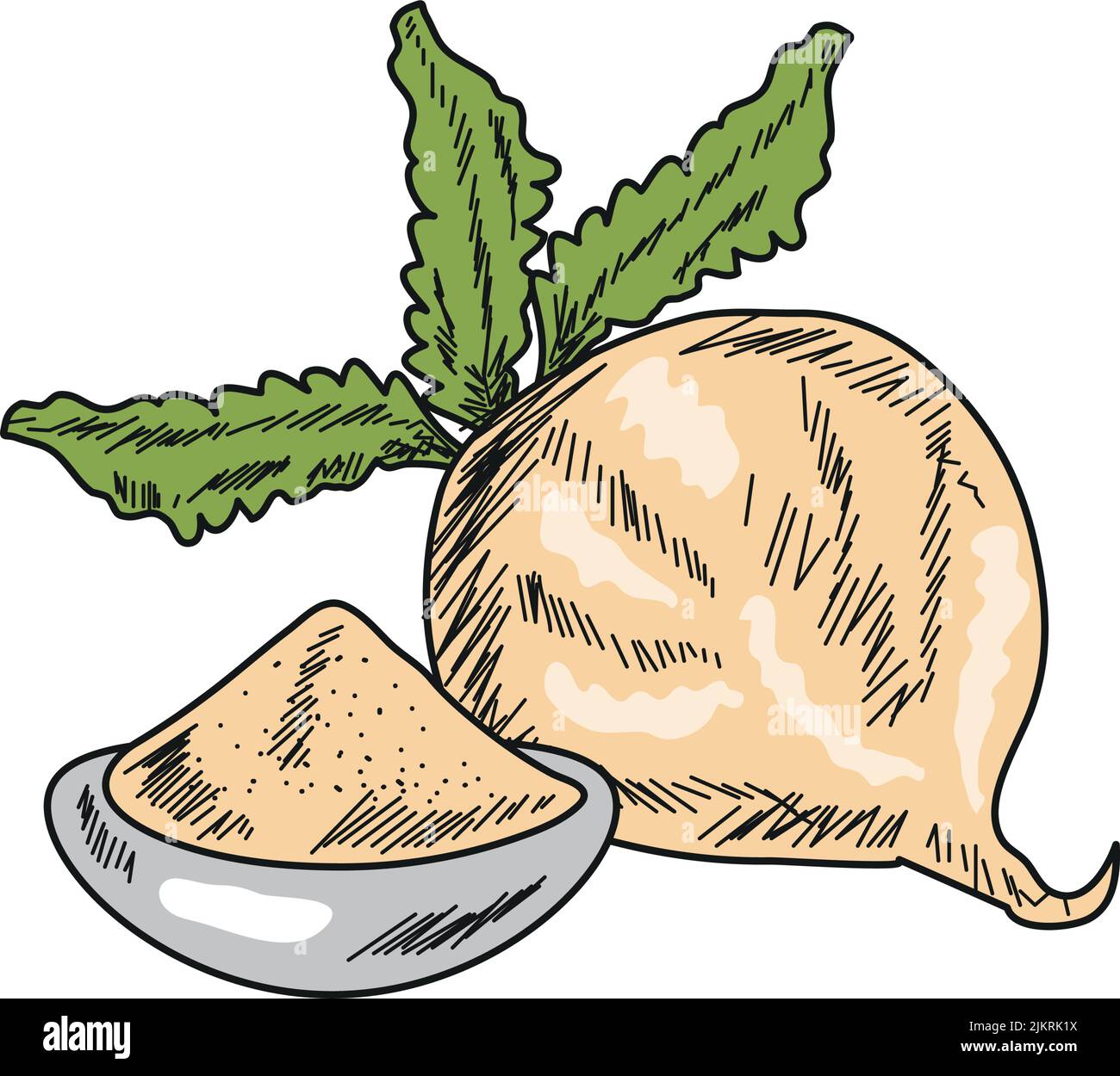 maca superfoods icon Stock Vector Image & Art - Alamy