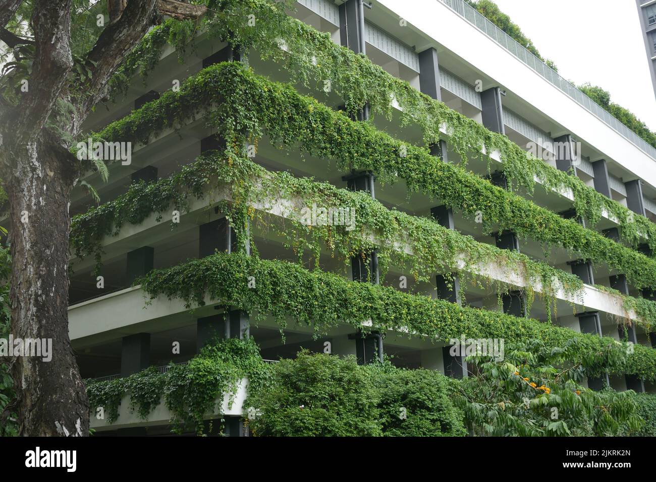 building with plants growing on the facade Stock Photo - Alamy