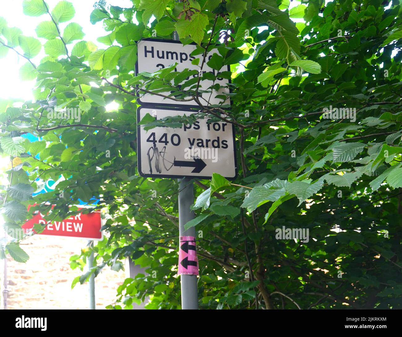 Overgrowing branches obstruct the view of two road signs Stock Photo ...