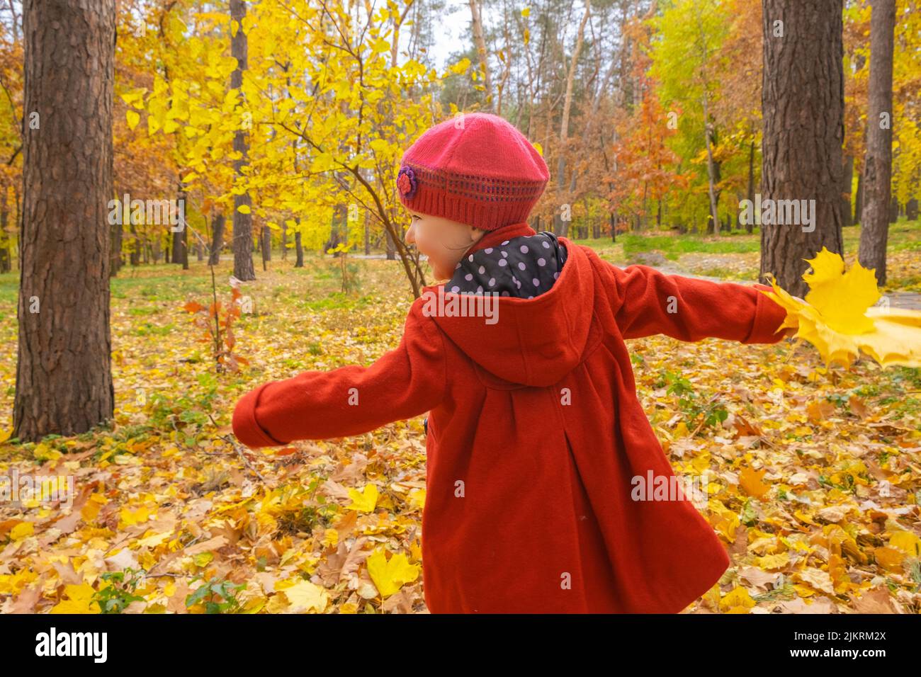 A happy little girl in a red coat play in the autumn park spin around ...