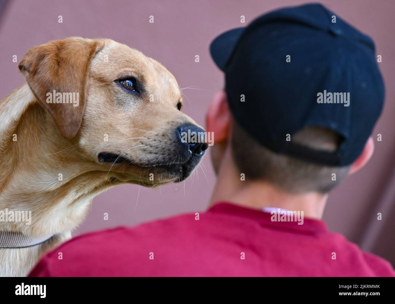 03 August 2022, Hessen, Gelnhausen: A juvenile detainee trains in the ...