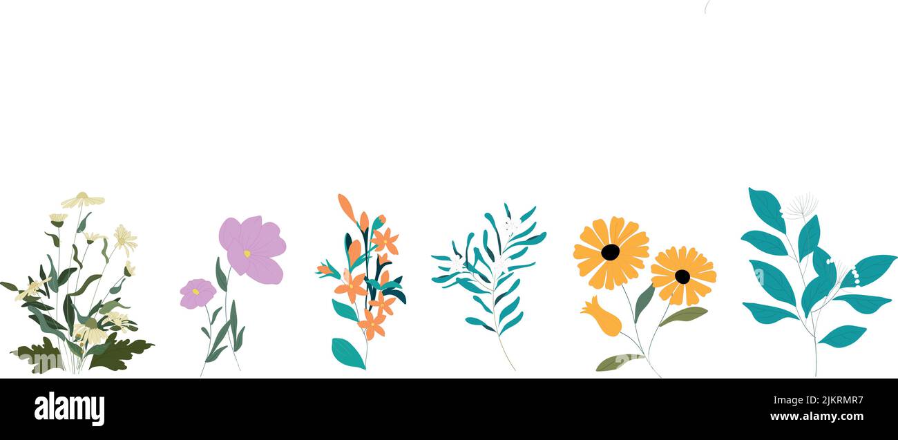A simple template of different flowers on a white background with copy ...