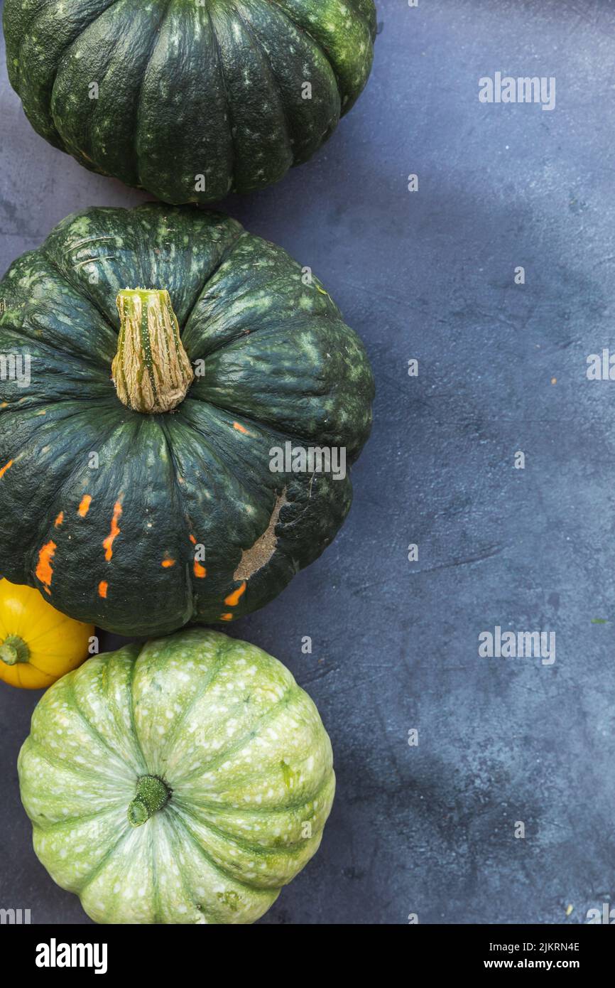Autumnal Background. Natural autumn fall view pumpkins on dark black ...