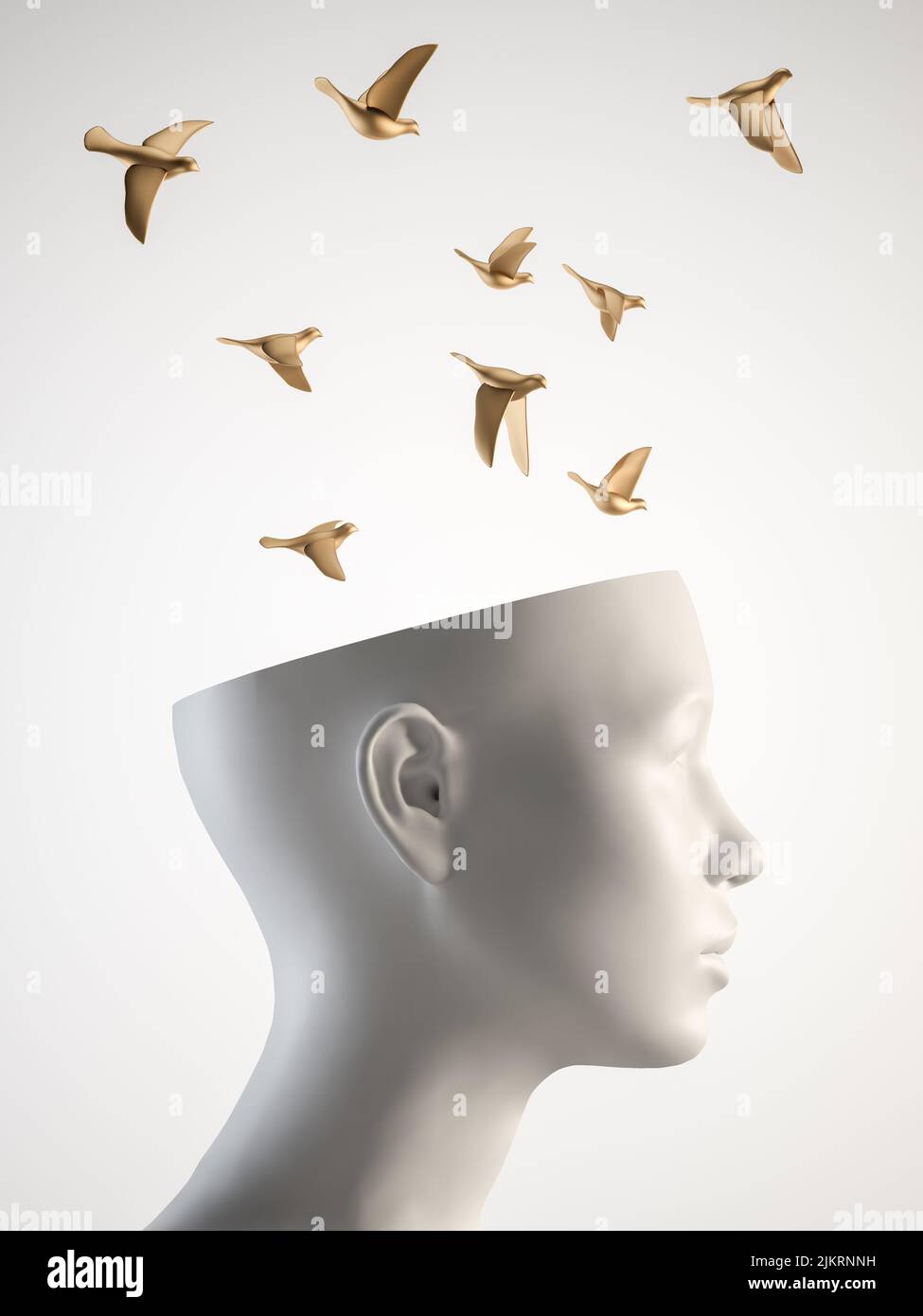 Womans head and birds flying freedom and liberty white background. 3 D ...