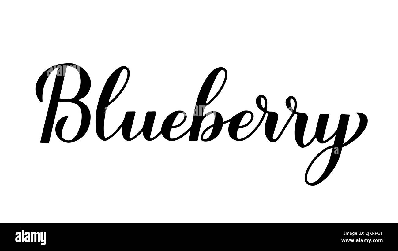 Blueberry calligraphy hand lettering isolated on white. Fresh summer ...