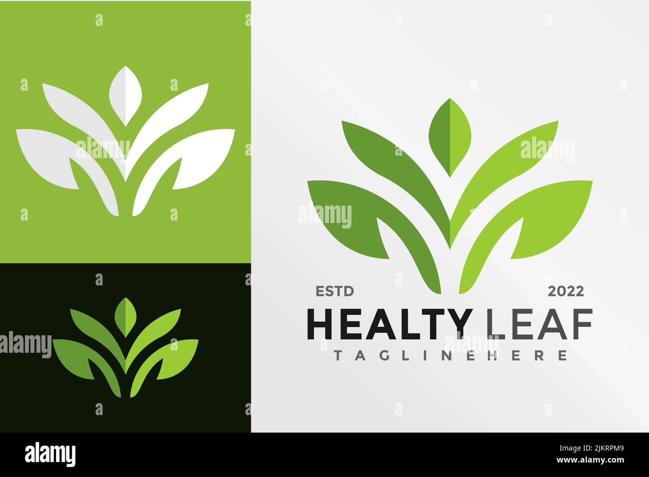 A digital illustration design of a healthy leaf company logo template ...