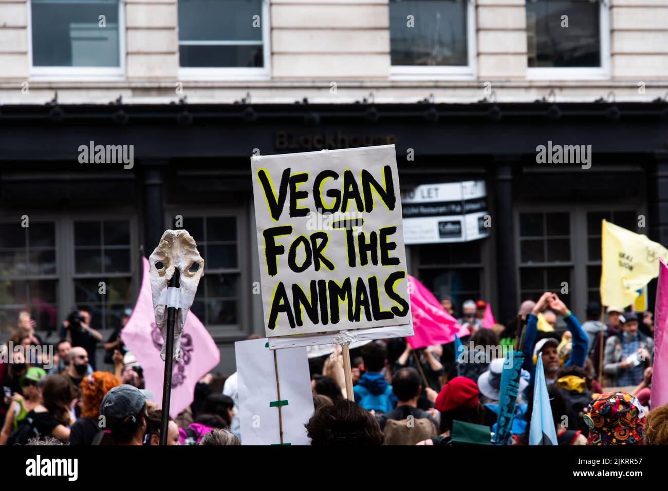 Vegan protest sign hi-res stock photography and images - Alamy