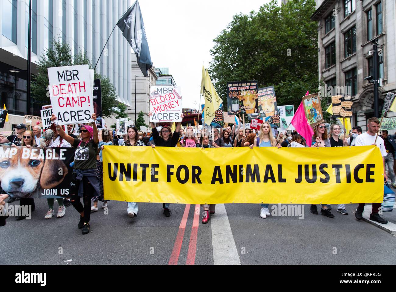 Animal Testing Protest