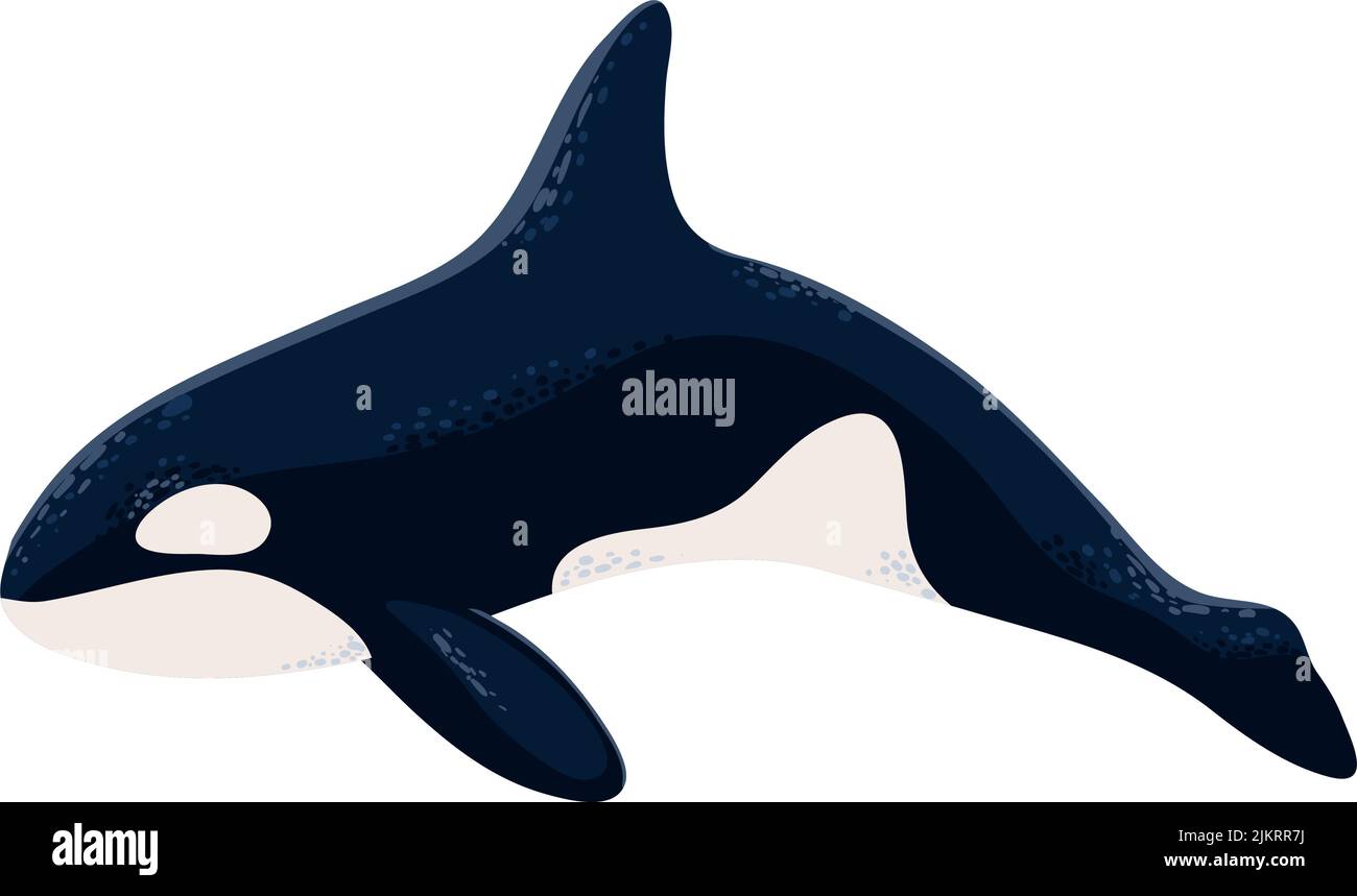 orca whale icon Stock Vector Image & Art - Alamy