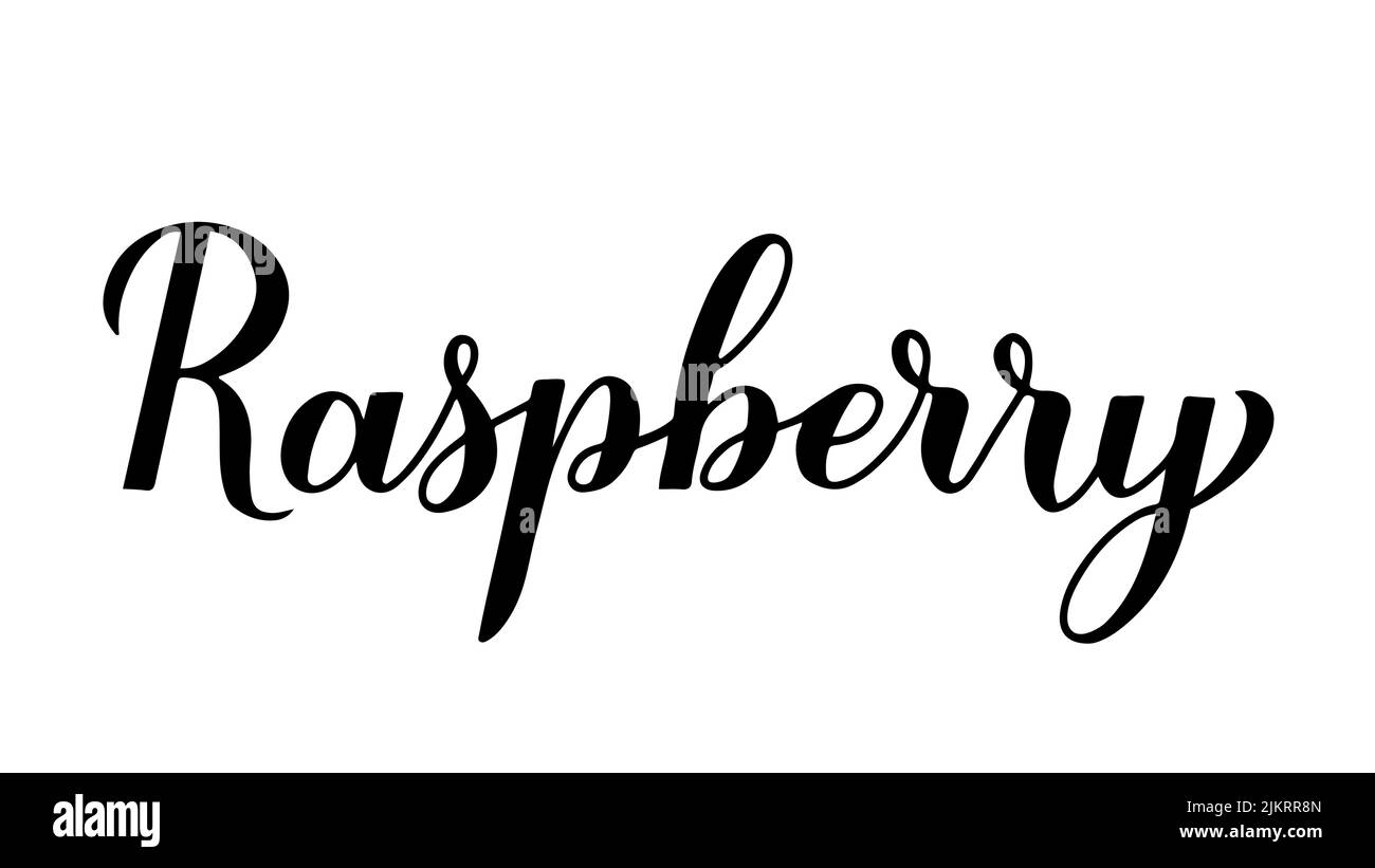 Raspberry calligraphy hand lettering isolated on white. Fresh summer ...