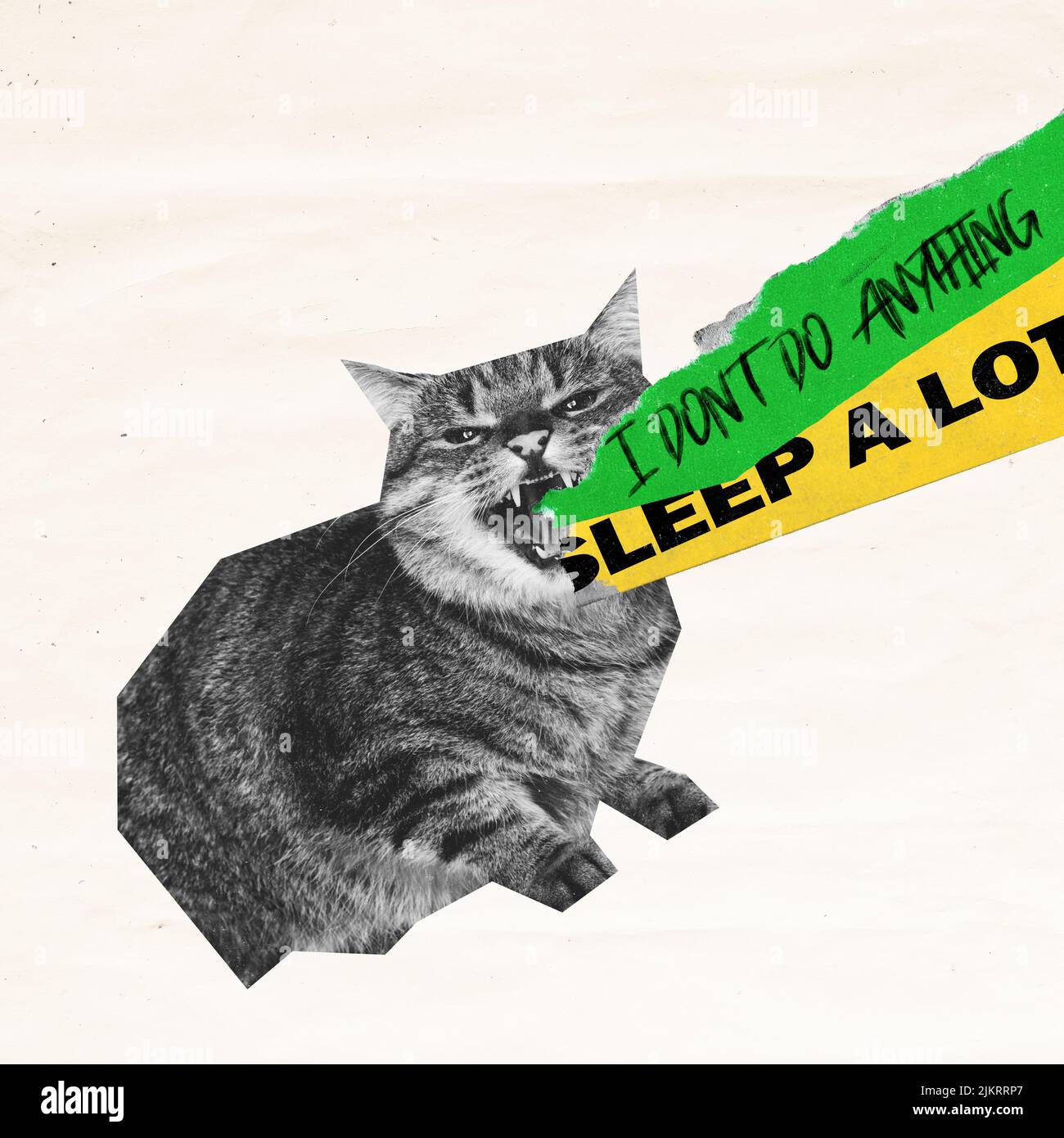 Contemporary art collage. Conceptual image with cat claiming on ...
