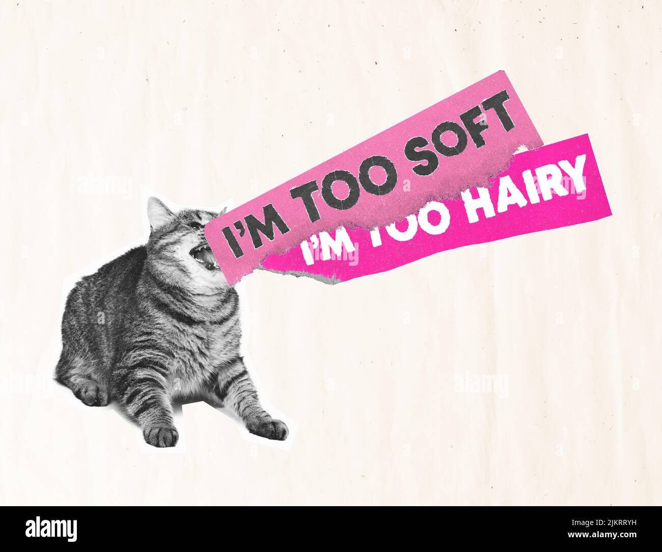 Contemporary art collage. Conceptual image of cat shouting about social ...