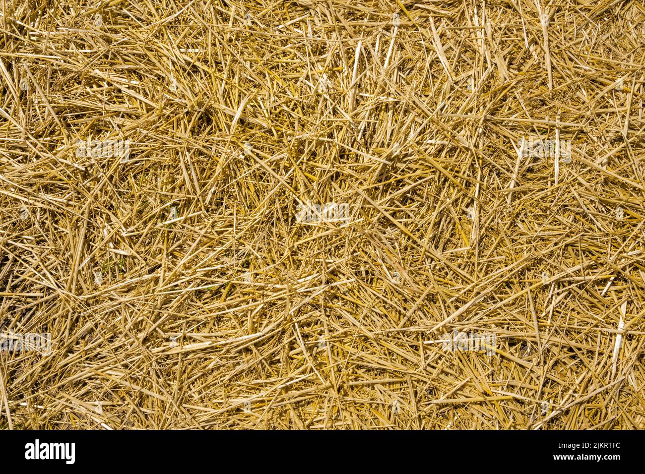 Loose straw seamless background Stock Photo - Alamy