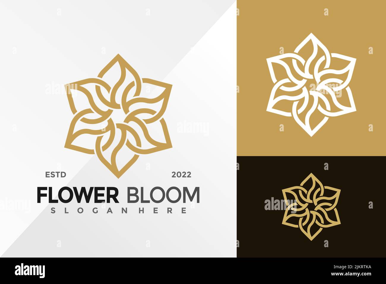 A brand logo "Flower Bloom" on three backgrounds Stock Vector Image ...