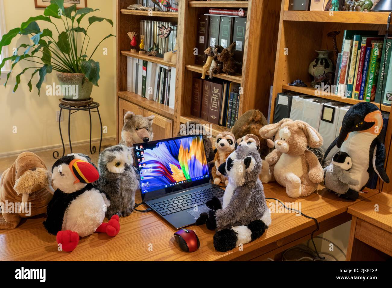 Issaquah, Washington, USA. Laptop PC surrounded by a collection of ...