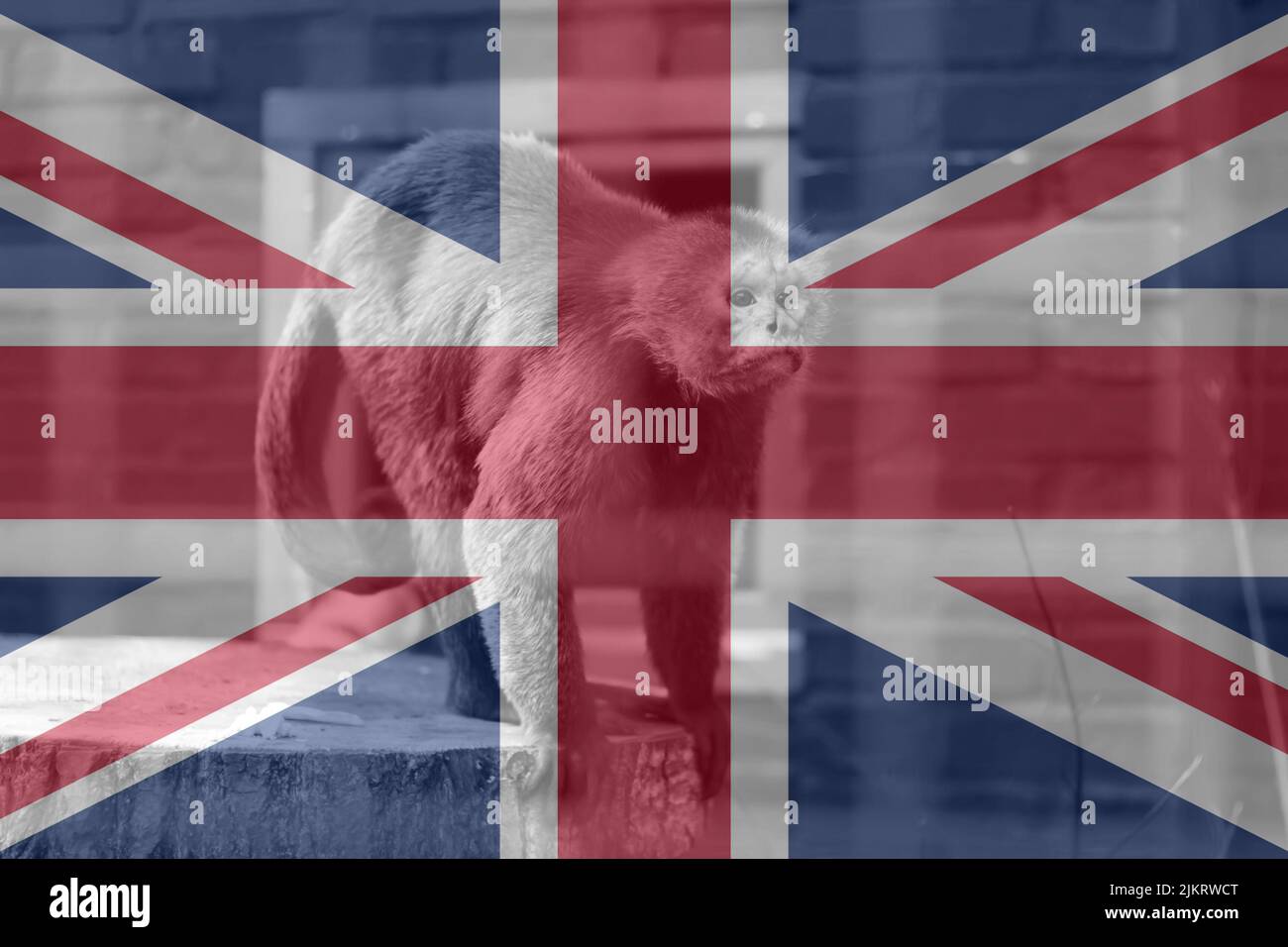 Monkeypox virus. Great Britain flag background. Epidemic concept. Virus ...