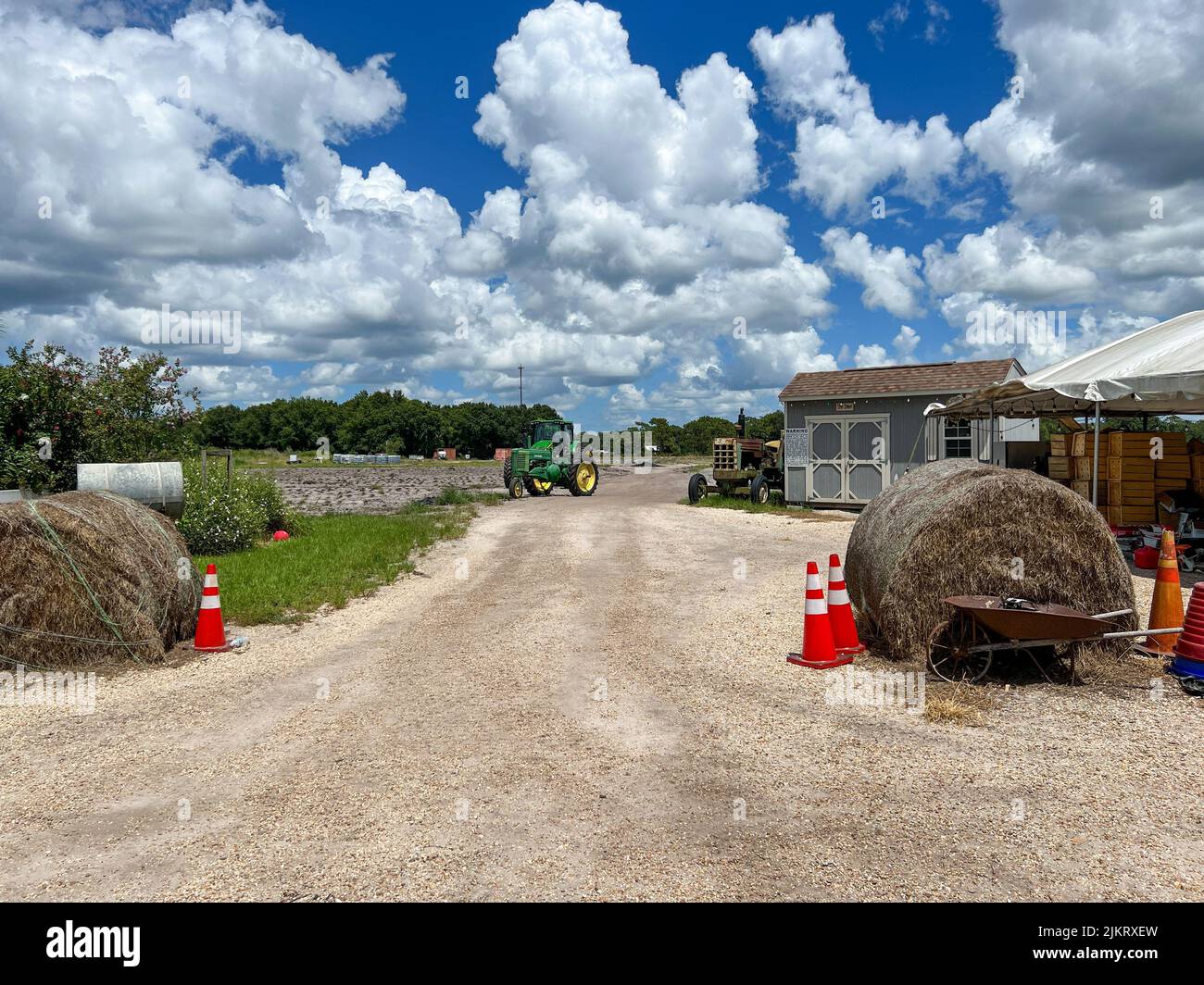 Florida farmland crop hi-res stock photography and images - Alamy