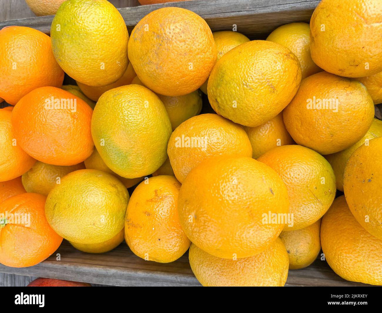 Colorful oranges at a fruit and vegetable stand in Orlando, Florida ...
