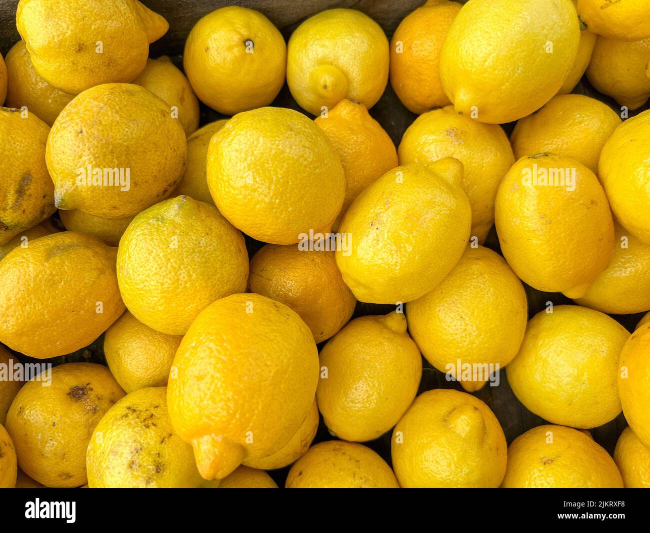 Colorful lemons at a fruit and vegetable stand in Orlando, Florida ...