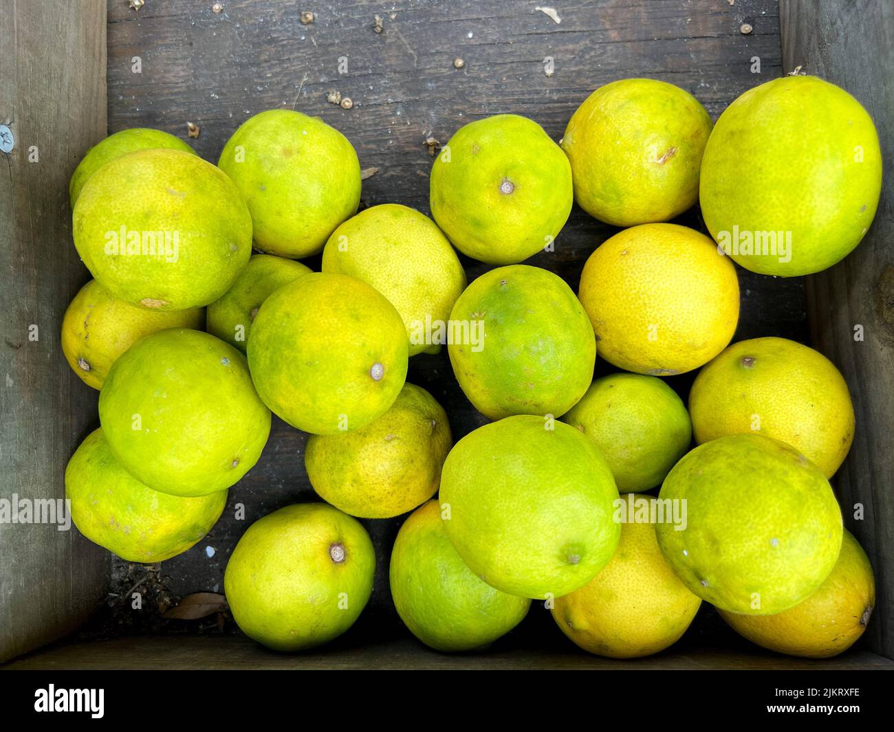 Colorful limes at a fruit and vegetable stand in Orlando, Florida Stock ...