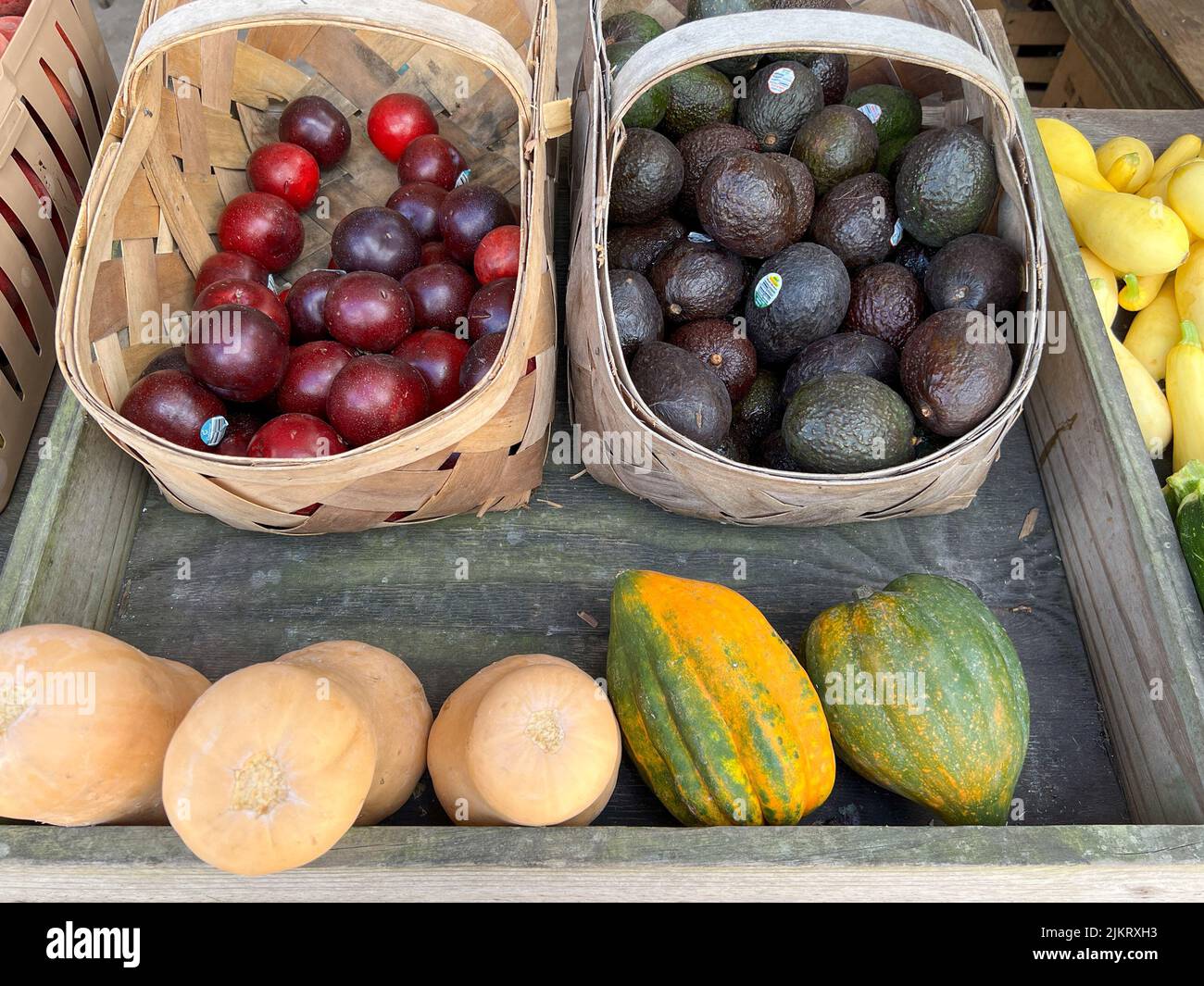 Colorful Florida plums, avacados, acorn squash and butternut squash at ...