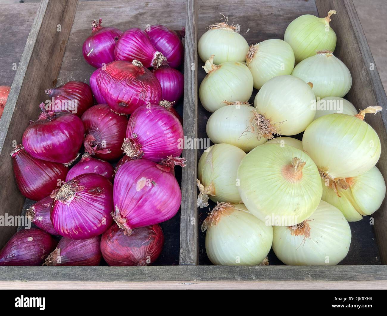 Colorful red and white onions at a fruit and vegetable stand in Orlando ...