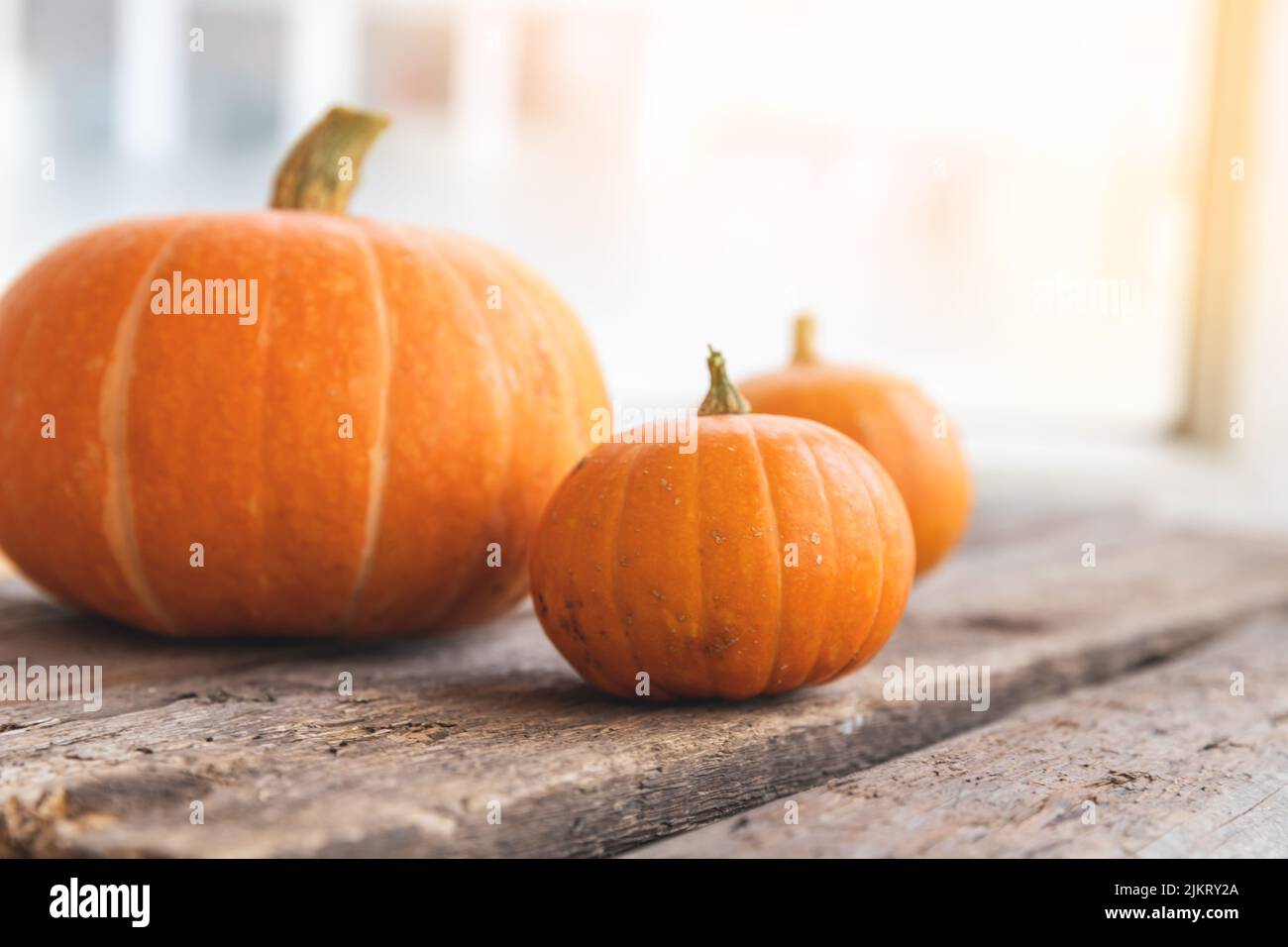 Autumnal Background. Natural autumn fall view pumpkins on wooden ...