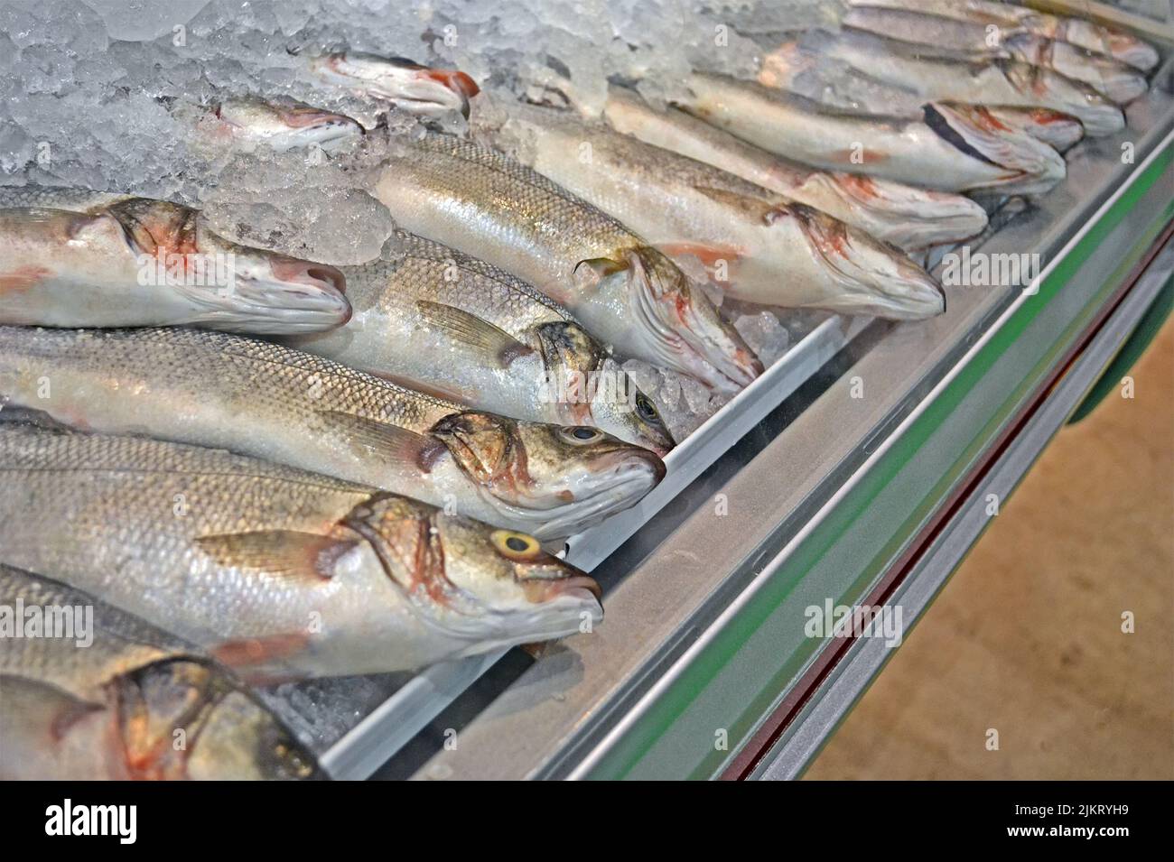 fresh fish closeup with silver scales and flippers under cold ice on ...