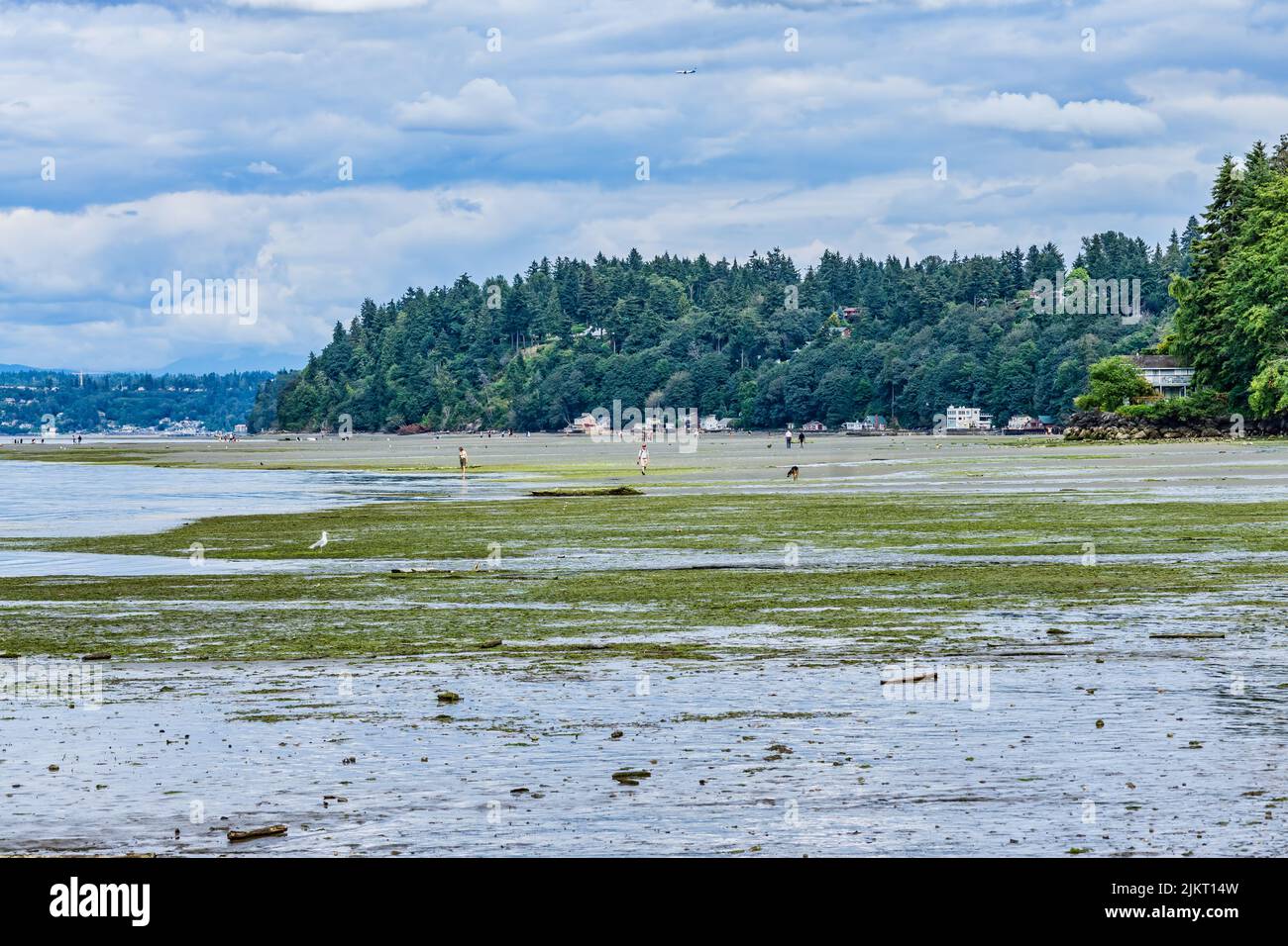 A view of the shoreline in Dash Point, Washington Stock Photo - Alamy