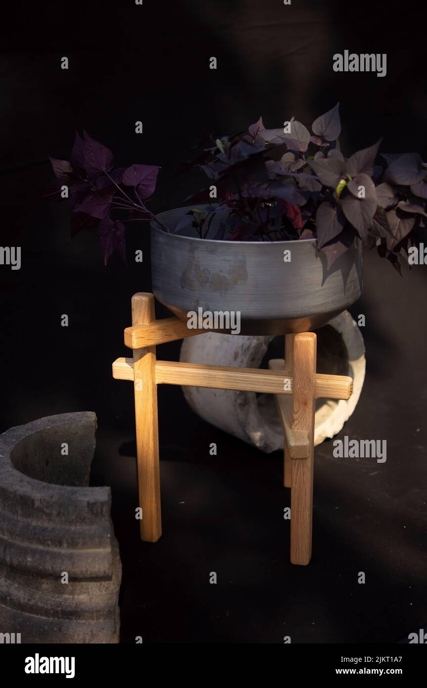 Designer planter on stone with black background Stock Photo - Alamy