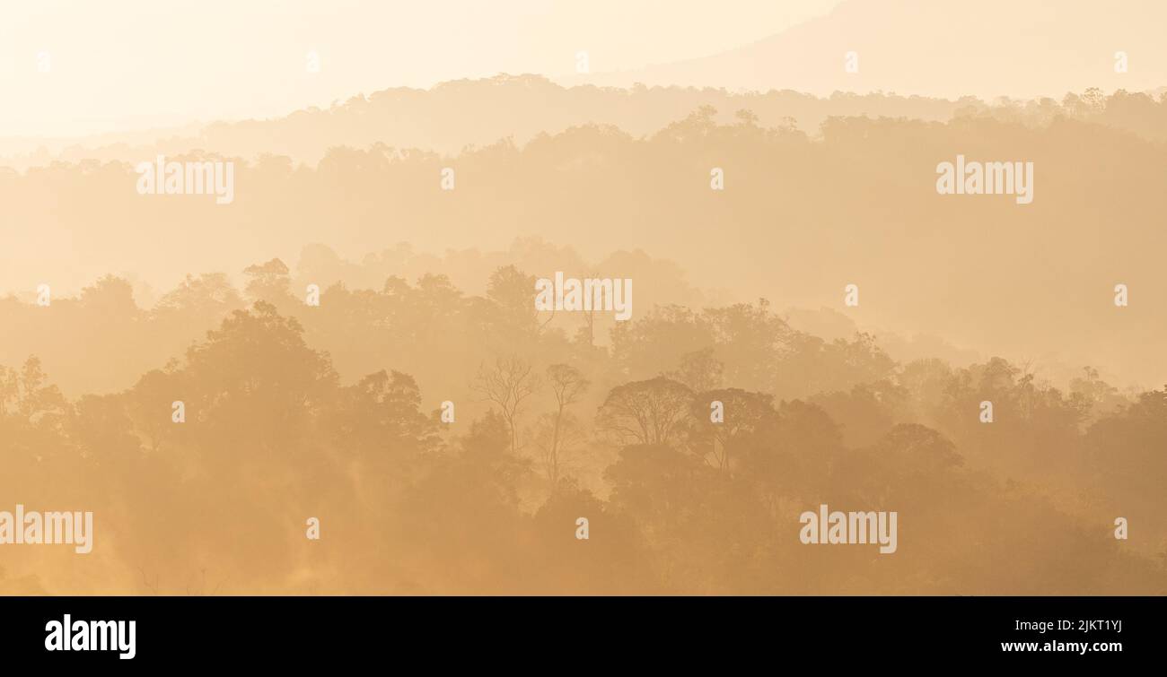 Dramatic soft scene of hazy mountain covered by fog and orange sunlight ...