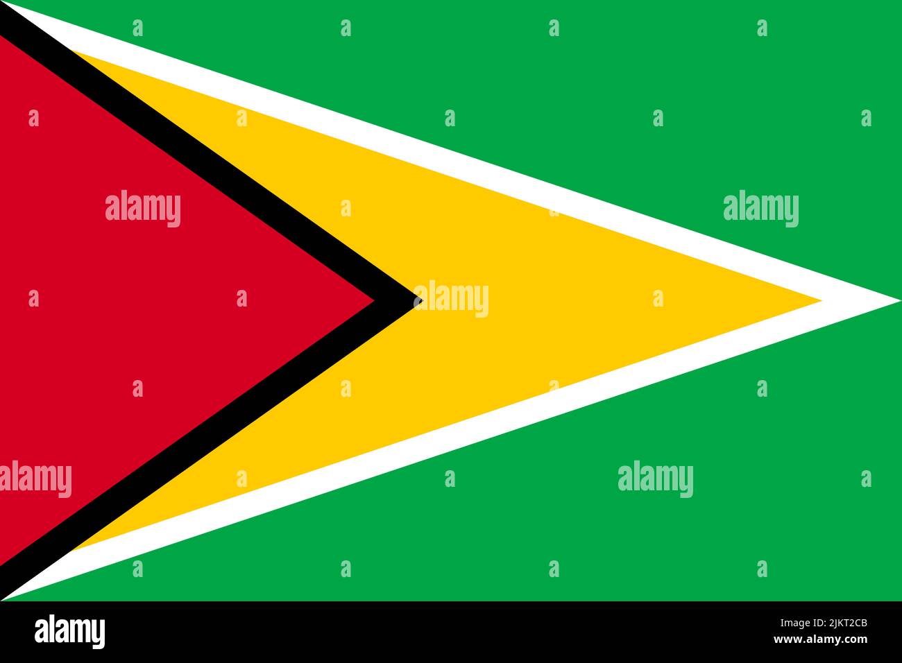 Flag of Guyana. Guyanese national banner and patriotic symbol. Official colors. Flat vector ...