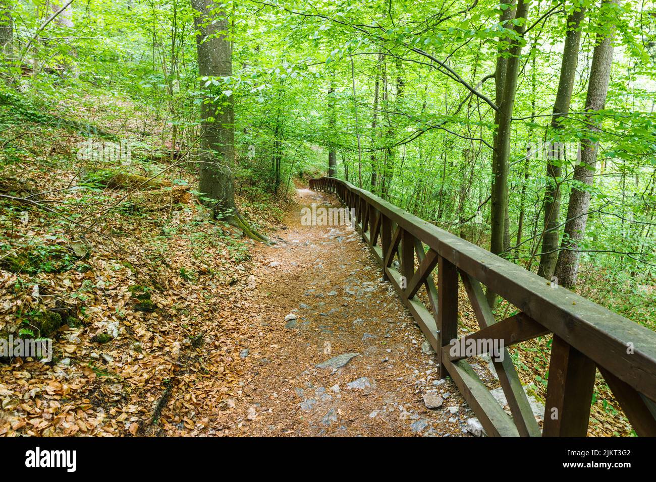 Path in the forest near Punkva caves in the Moravian Karst, Czech ...