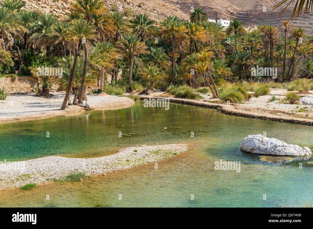 View of the Wadi Bani Khalid oasis in the desert in Sultanate of Oman ...