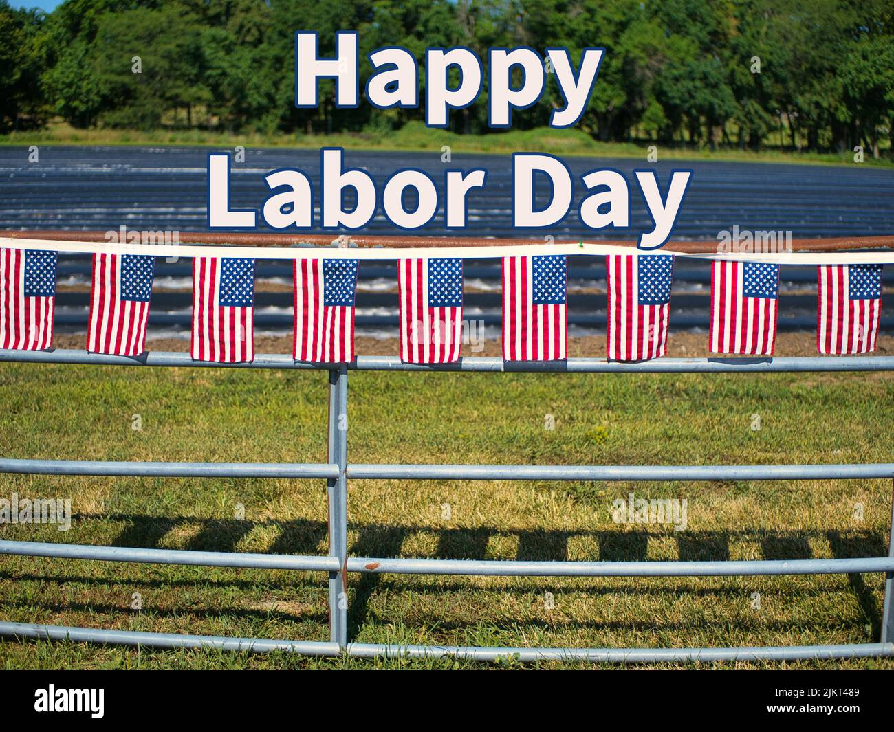 Many small American flags to celebrate Labor Day. Use this graphic for ...