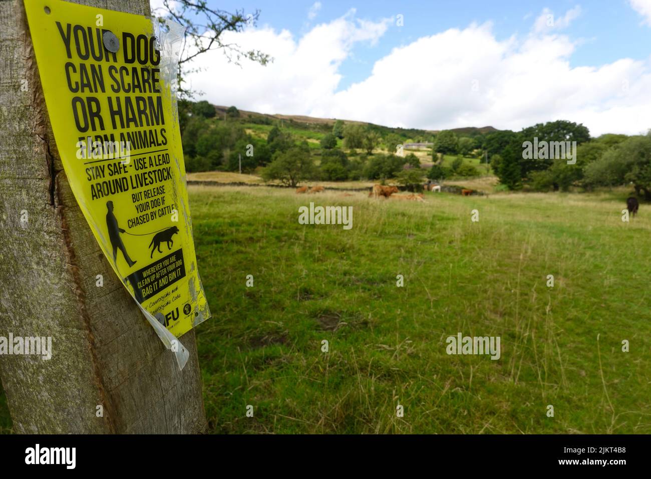 A notice warning dog owners to keep their dogs under control Stock ...