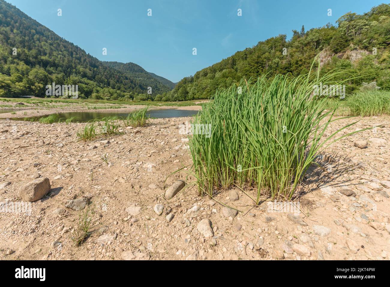 Water level drops in mountain lake in summer. Wildenstein, Vosges ...