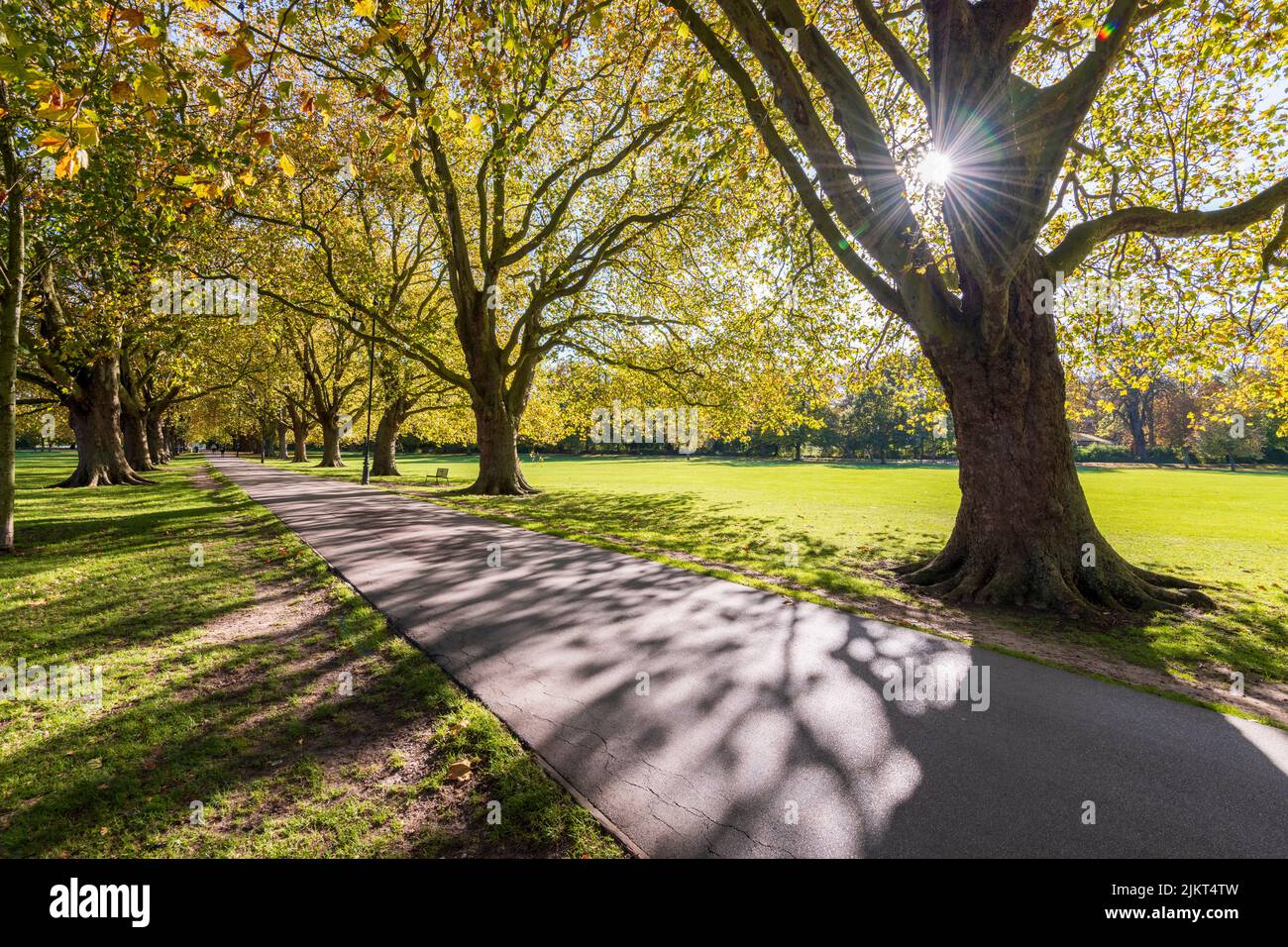 UK, England, Cambridge, Jesus Green Stock Photo - Alamy