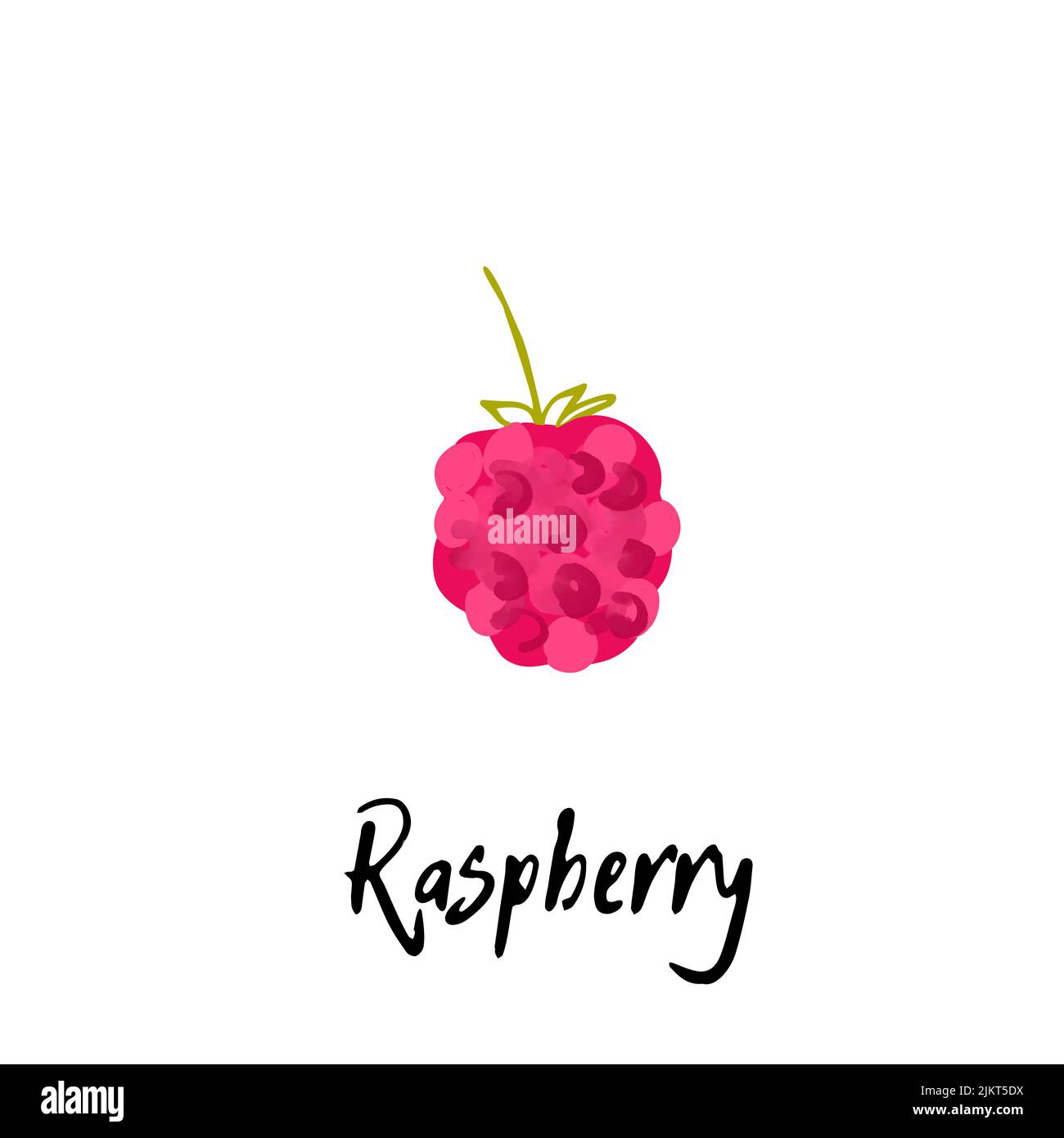 Illustration of a raspberry isolated on a white background Stock Vector Image & Art - Alamy