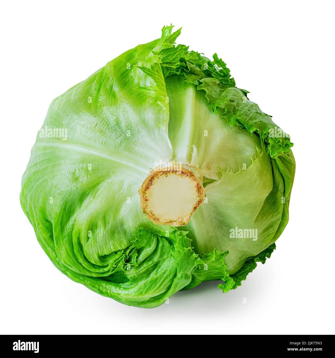 Isolated Iceberg letucce cabbage. With clipping path. Dietary food rich ...