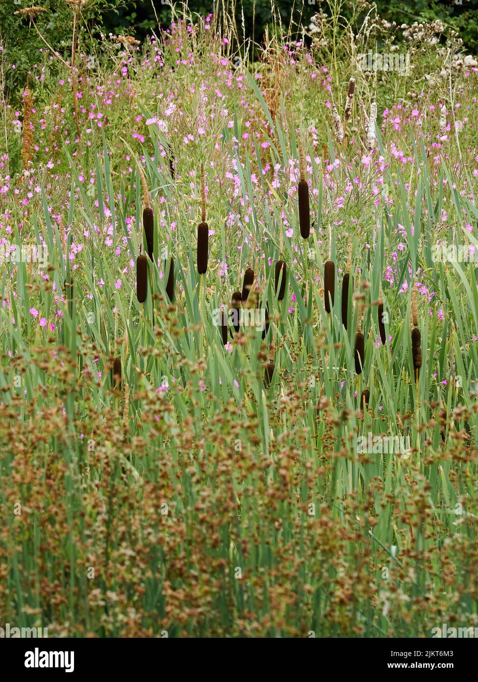 © Matthew Reynolds Stock Photo - Alamy