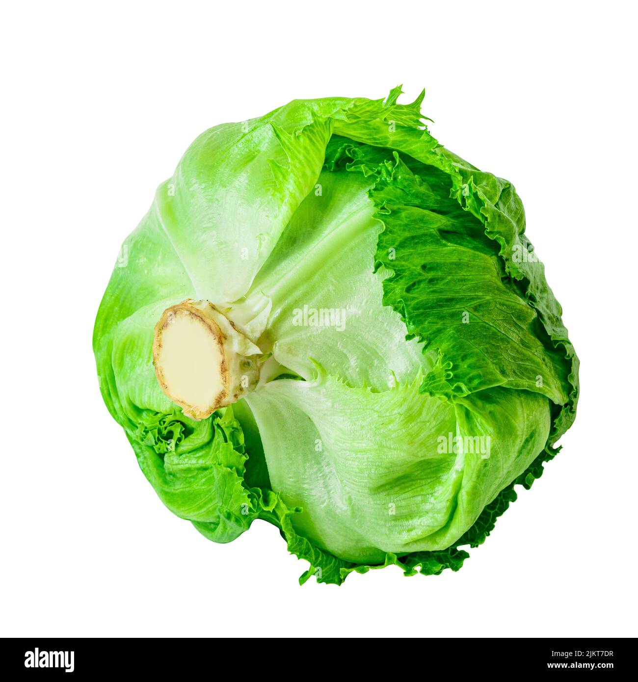 Isolated Iceberg letucce cabbage. With clipping path. Dietary food rich ...