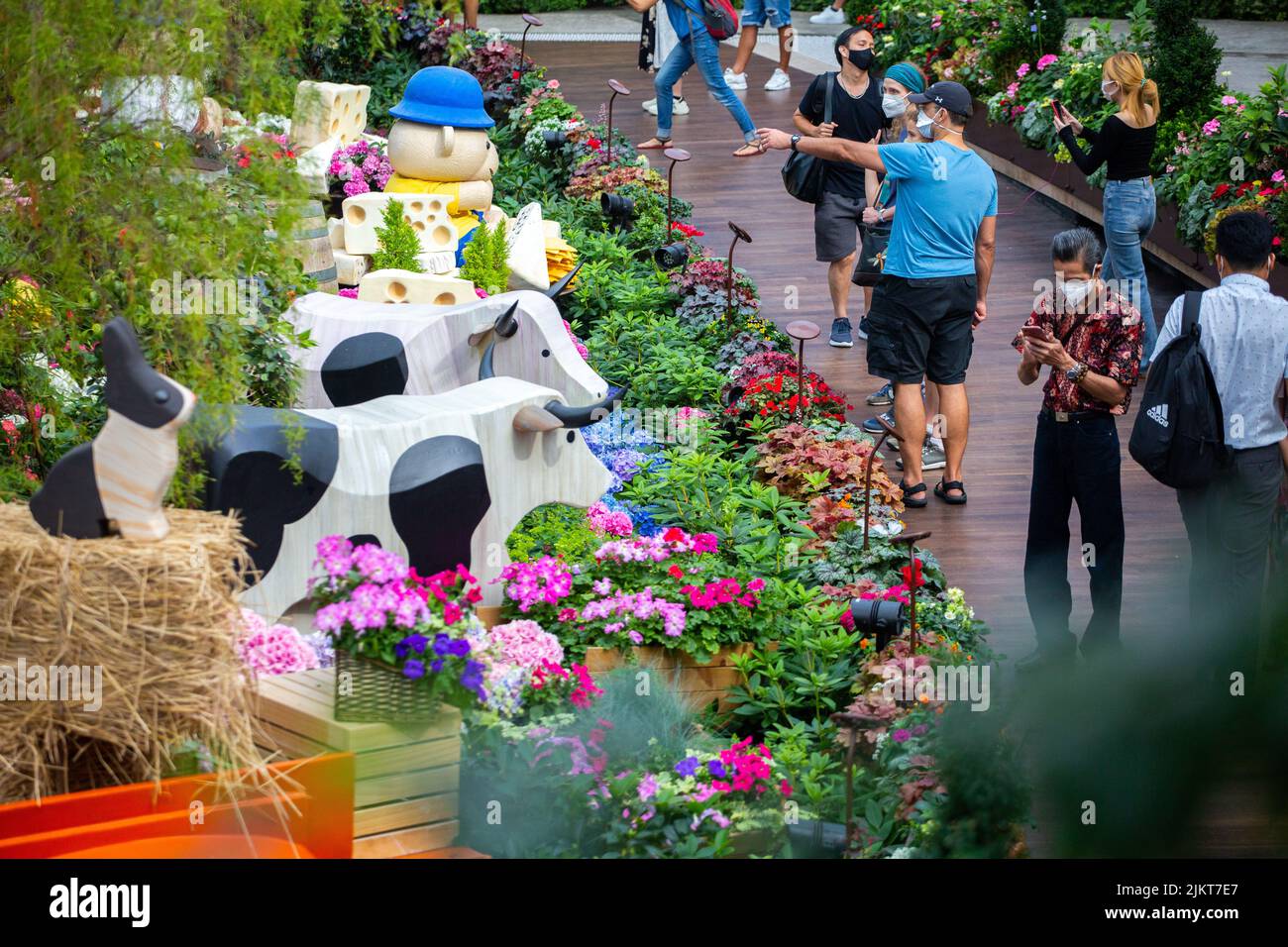 Visitors is checking out Dutch cow and and the Whimsical hydrangeas ...