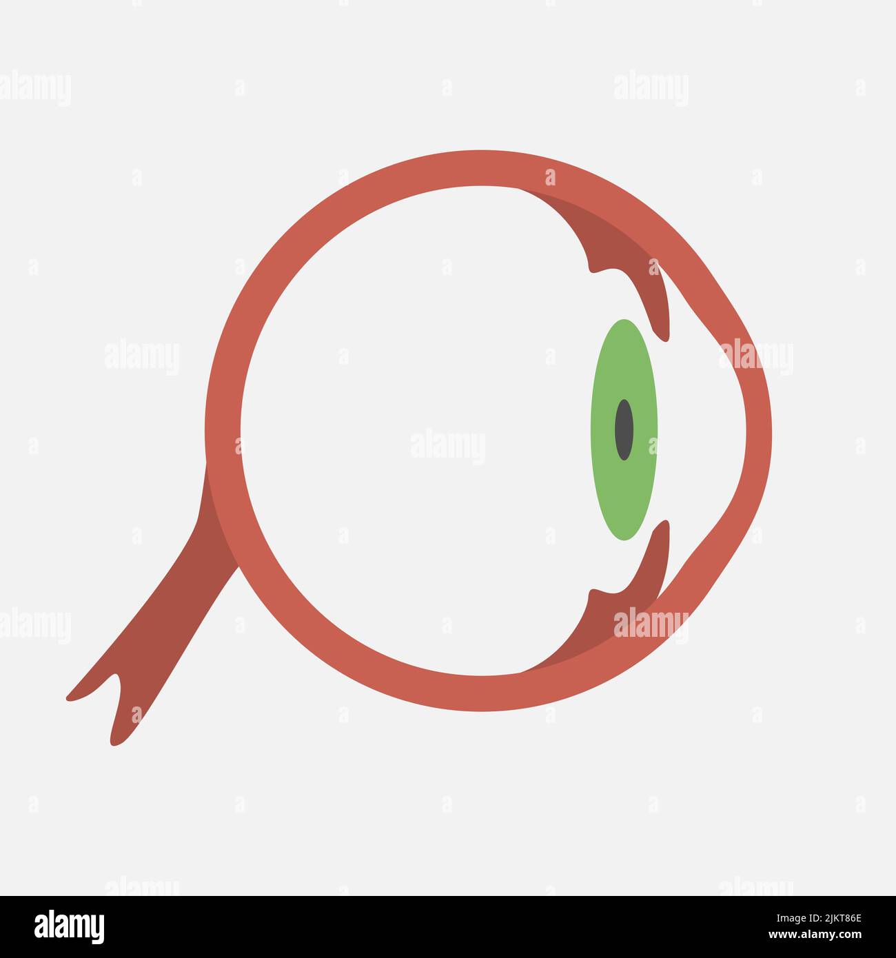 Eye icon on white background Stock Vector Image & Art - Alamy