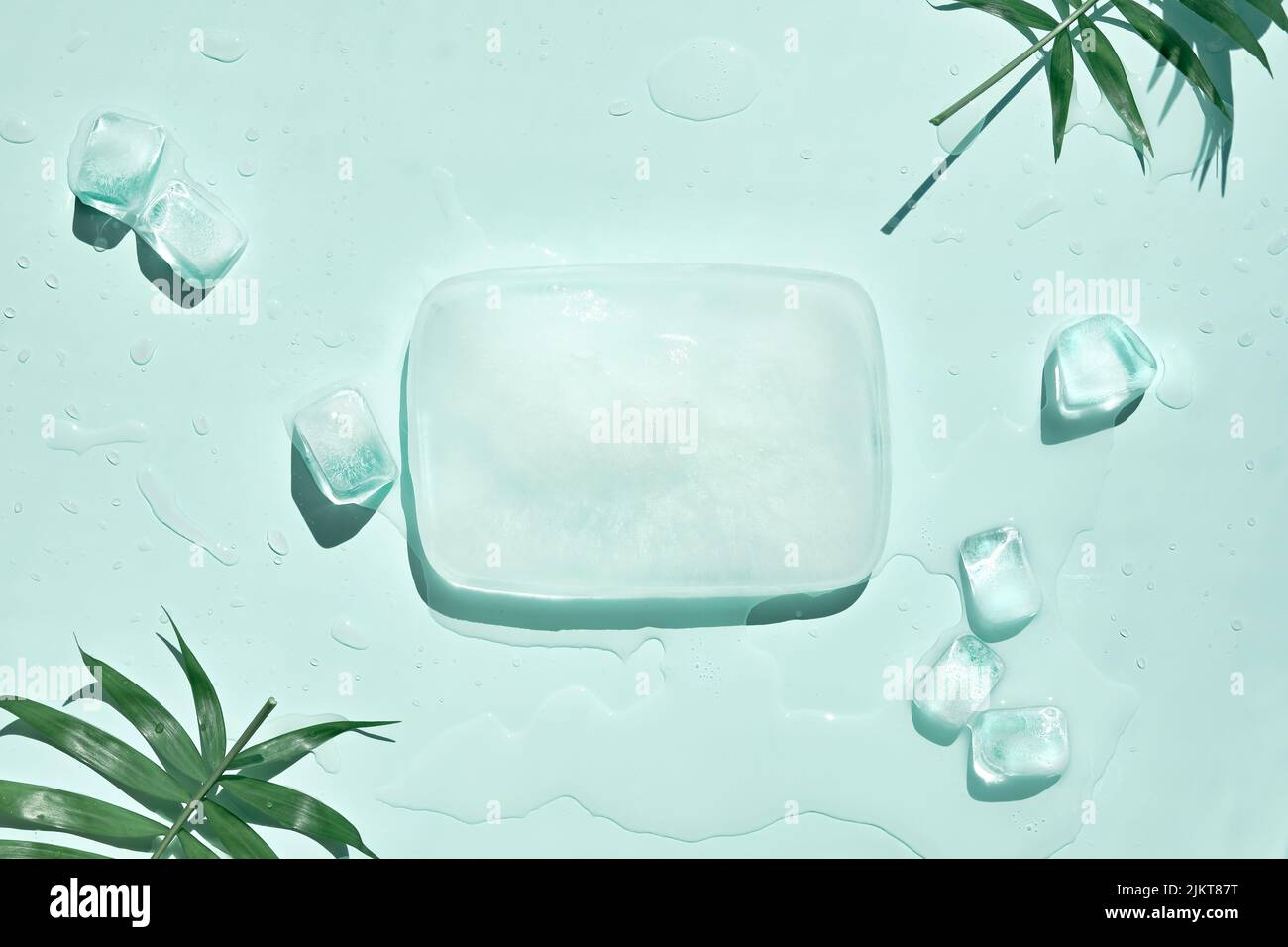 Summer mint green background with ice cubes and exotic palm leaves. Ice ...