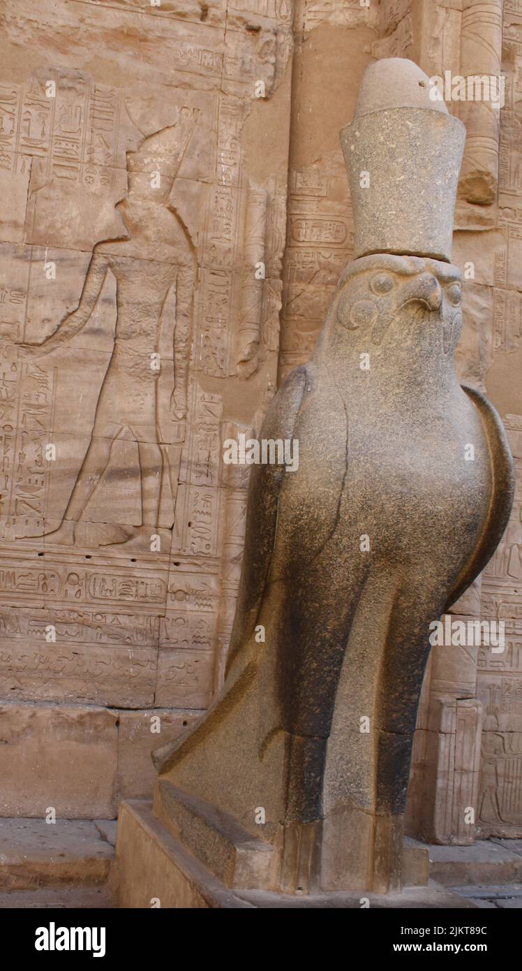 STATUE OF HORUS IN EGYPTIAN TEMPLE OF EDFU Stock Photo - Alamy
