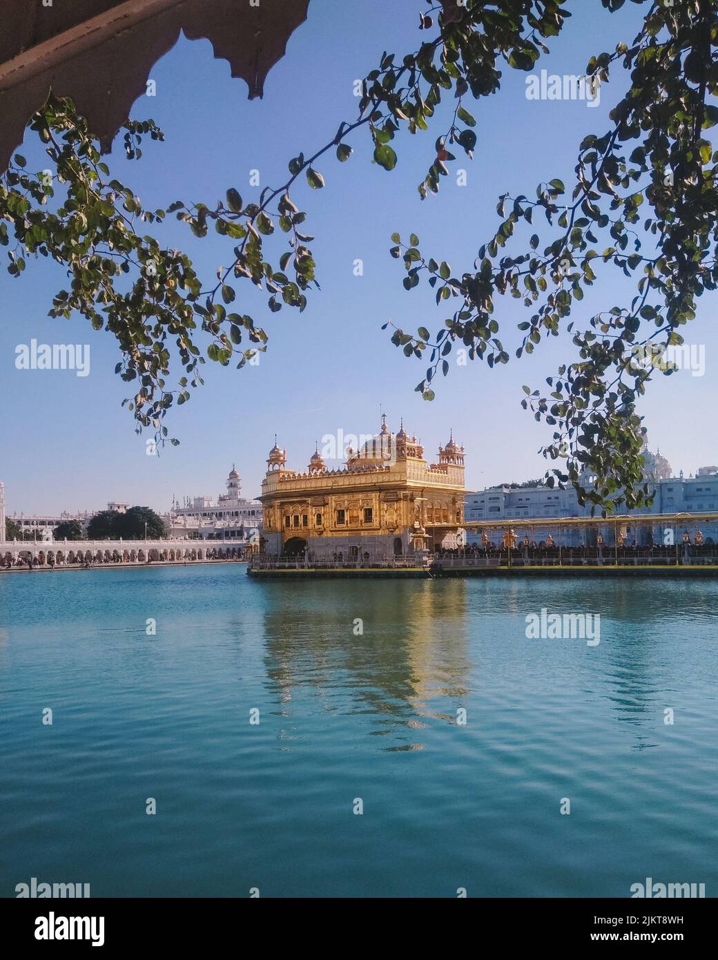 A vertical shot of the Shri Harmandir Sahib Golden Temple Amritsar ...
